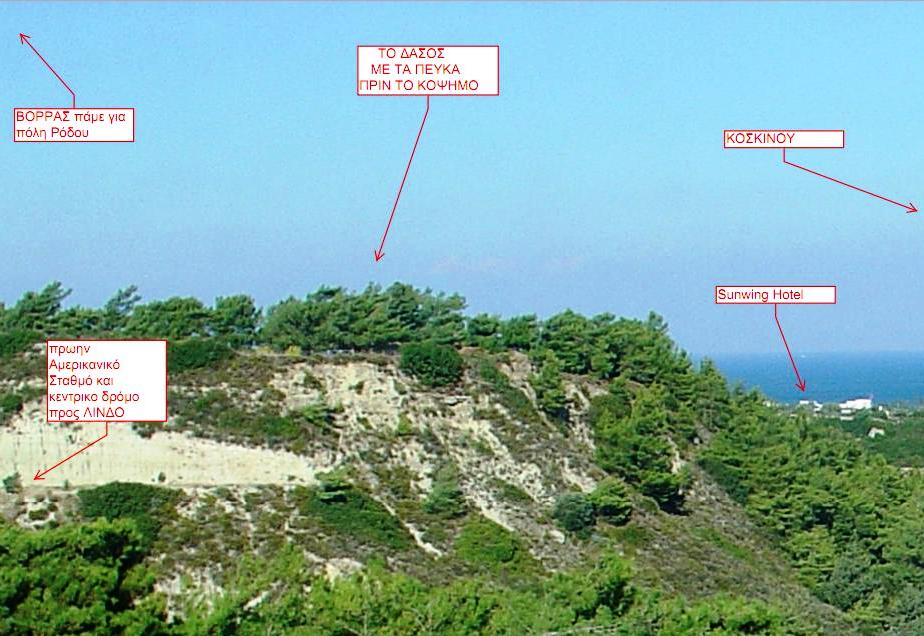 ΚΟΠΗΚΑΝ ΠΕΥΚΑ ΚΑΙ ΦΥΤΡΩΣΕ ΣΠΙΤΙ ΜΕ ΠΙΣΙΝΑ