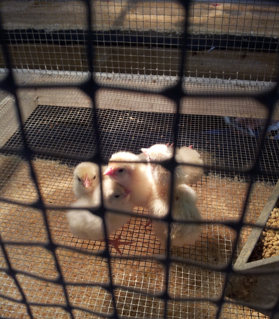 View From The Porch: Exhausted...