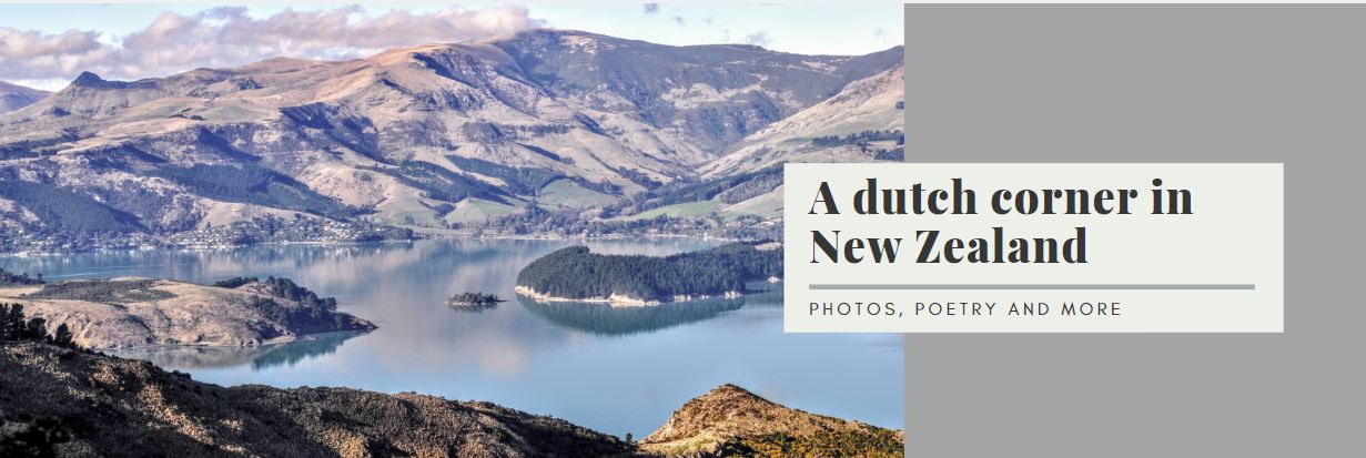 DUTCHCORNER: Ngatea Water Gardens