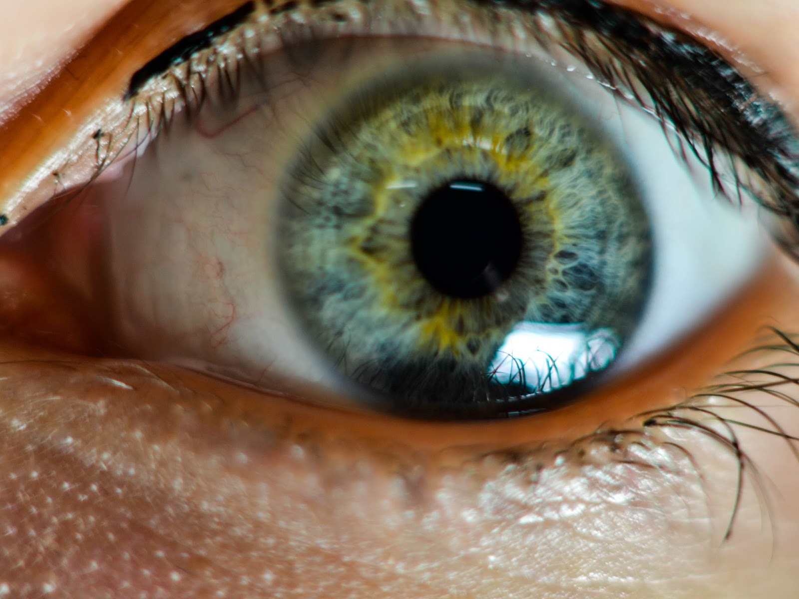 Ela Kobryń : Przez Twe oczy zielone....