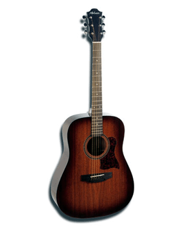 Hohner Acoustic Guitar ~ Hohner Instrument