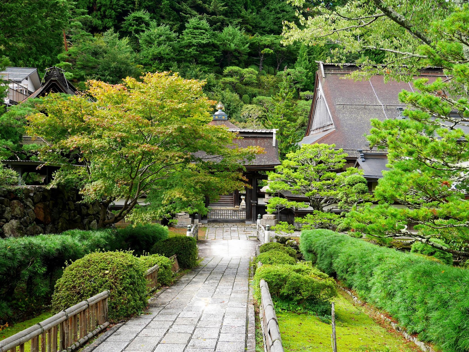 Magická hora Koya - Nebuď vorvaň!