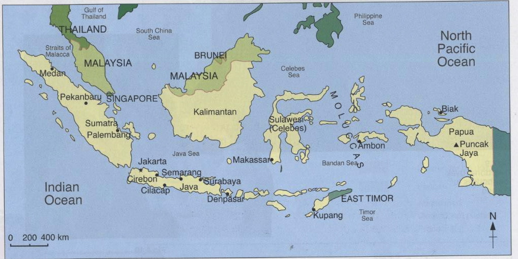 Discover Wet Rice Cultivation in Indonesia: Wet Rice Cultivation in ...