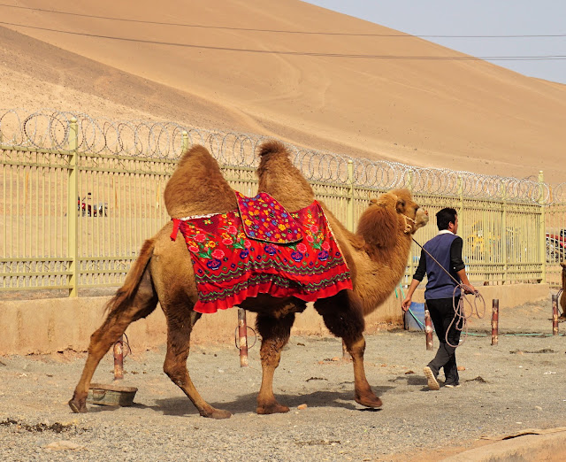 Souvenir Chronicles: TURPAN, CHINA: FLAMING MOUNTAINS AND LUNCH