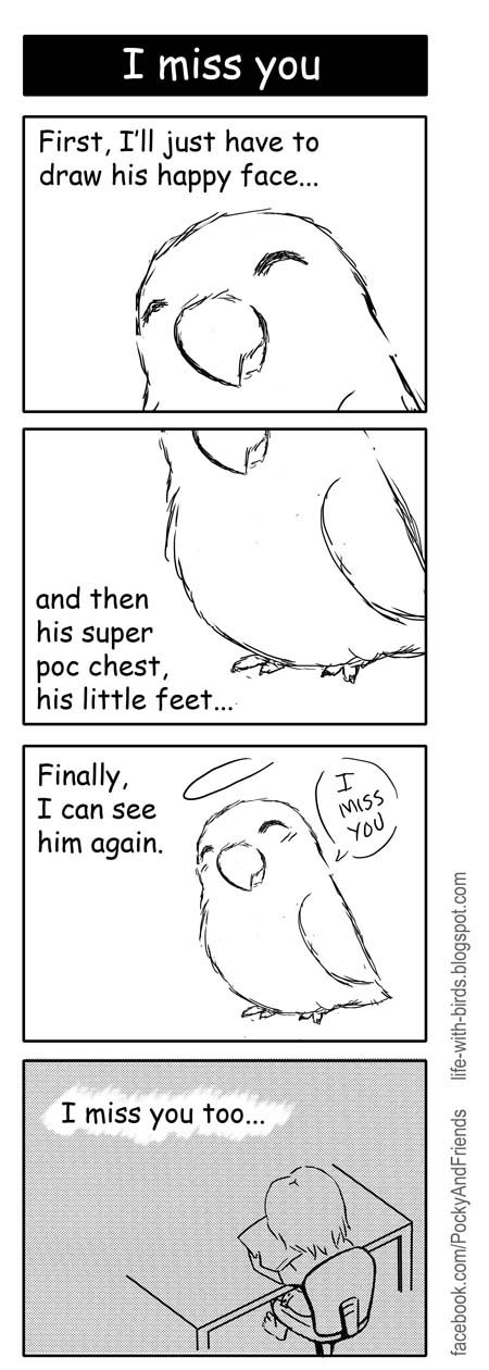 Life with Birds: I miss you