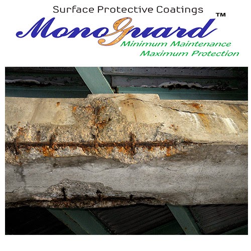 Surface Protective Coatings: Polymer Protective Coating (MonoGuard RG)