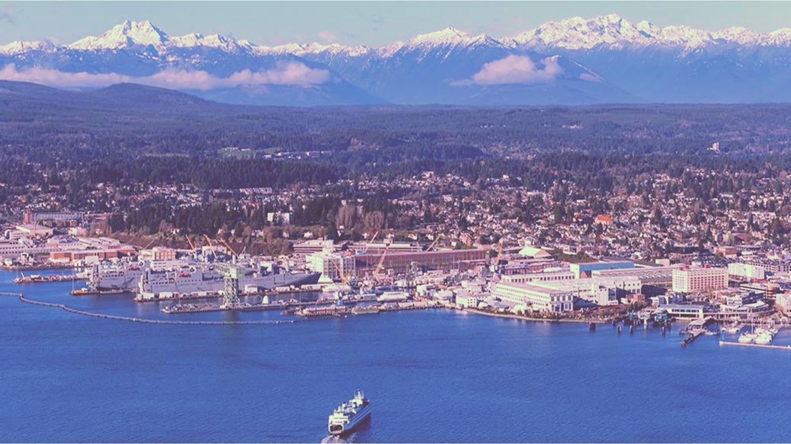 Carved Lake Art Blog: What You Need to Know about Puget Island