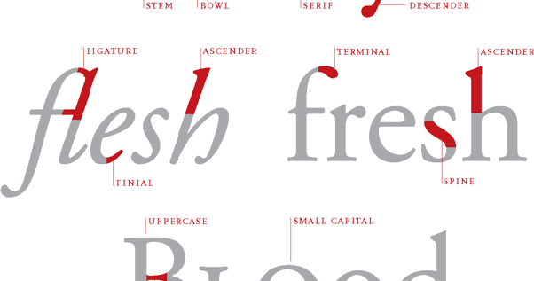 TYPOGRAPHY AND HYPERTEXTUALITY - EXERCISES