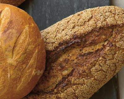 Shortnotes of History: Ancient of history of bread