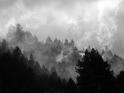 San Francisco Photo Blog - Cool Views from SF Bay Digital Images ...