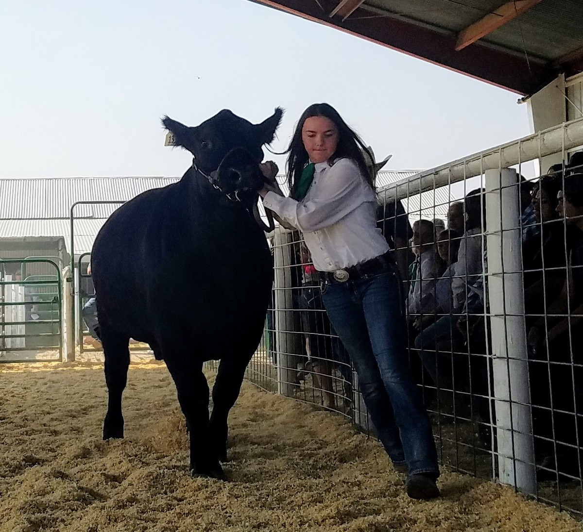Desert Survivor: More from the White Pine County Fair