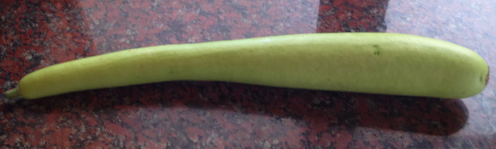 Zucchetta o cucuzzella a minestrina