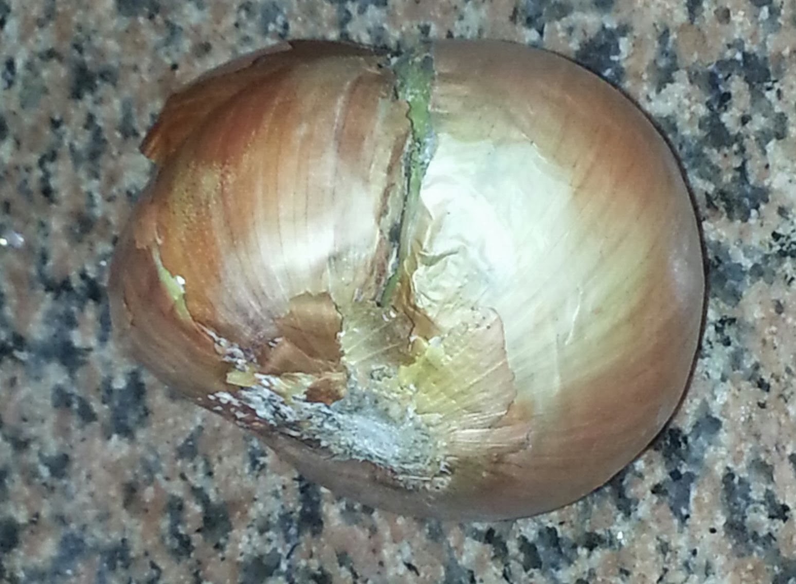 Sardinas en el Desierto: Precios Cuidados y cebollas