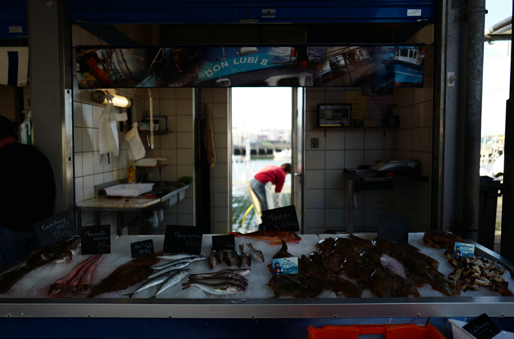 Fish market — Made in Faro