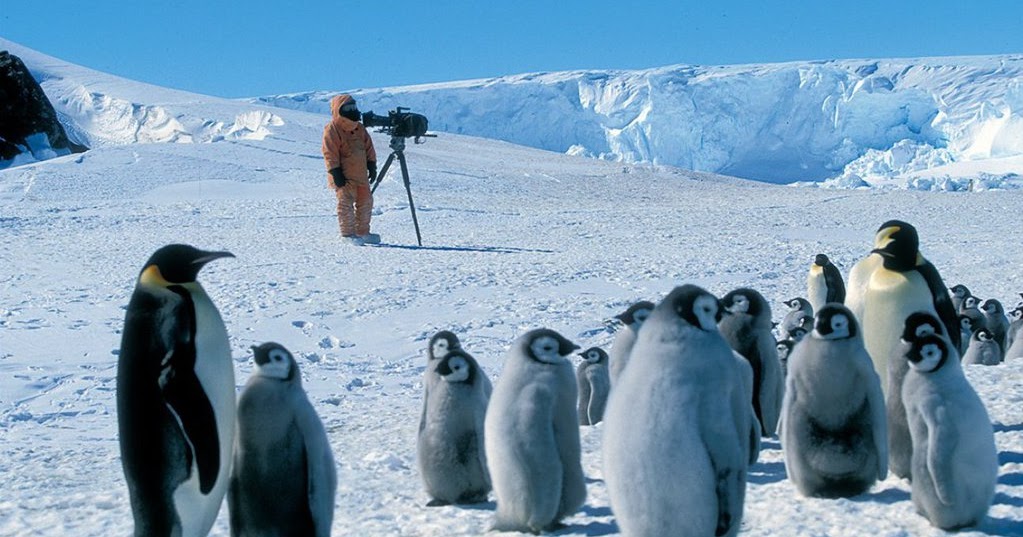 Documentalium: Los mejores documentales sobre Naturaleza