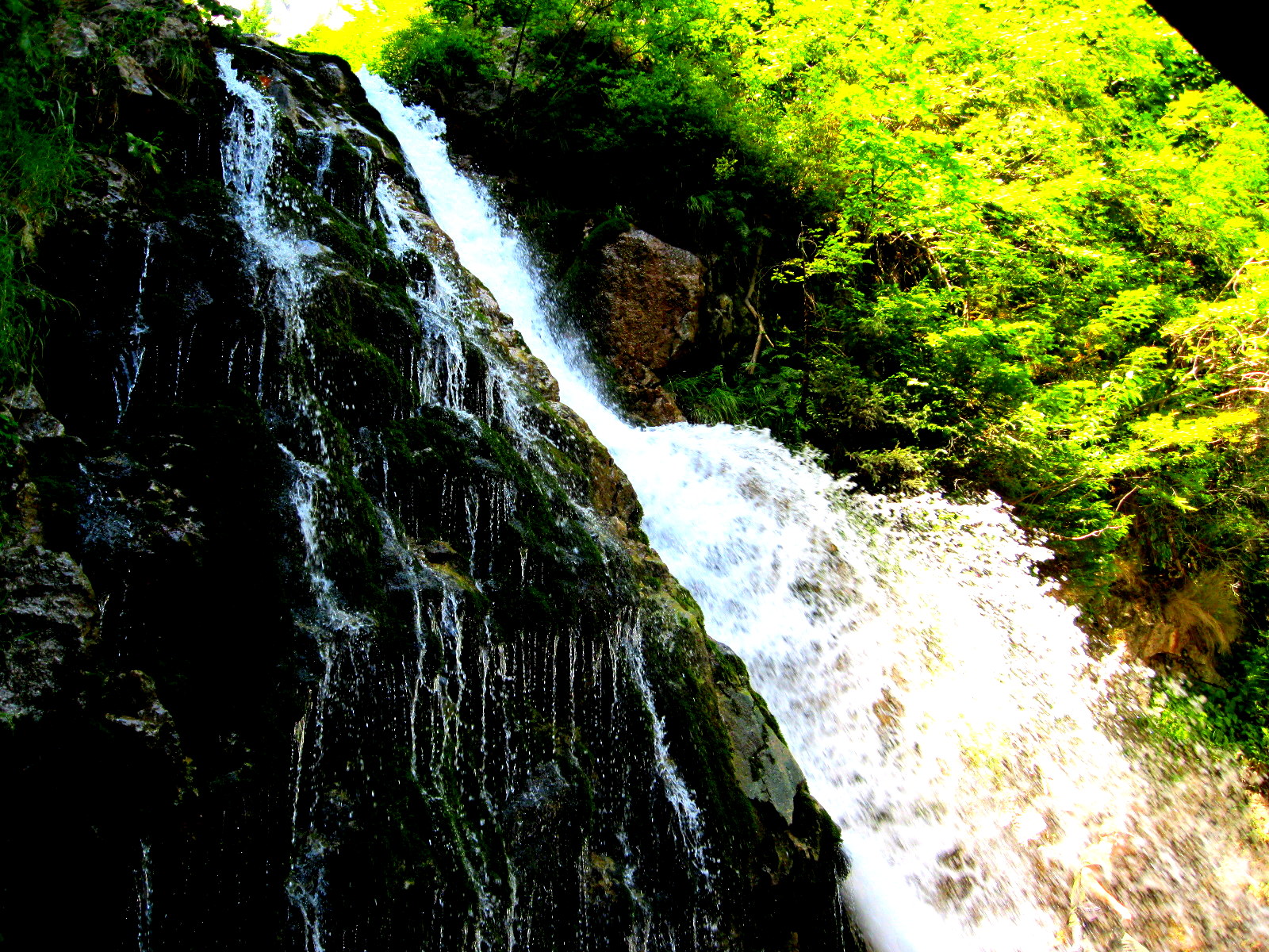 Jurnal de calatorie: Cascada Urlatoarea