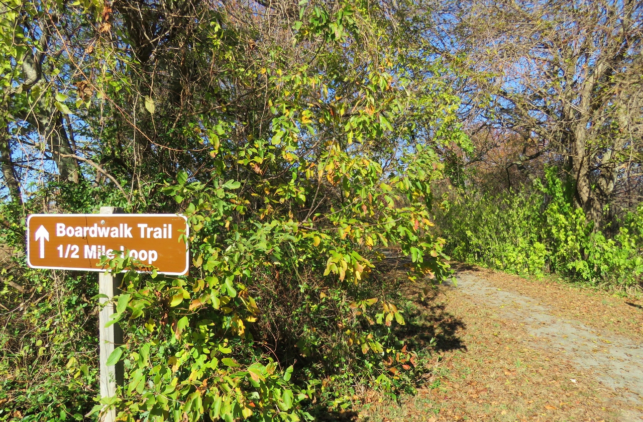Gone Hikin': Prime Hook National Wildlife Refuge, DE