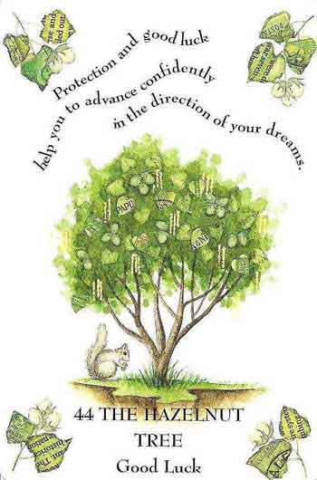 Brigid's Oracle: Hazel Moon