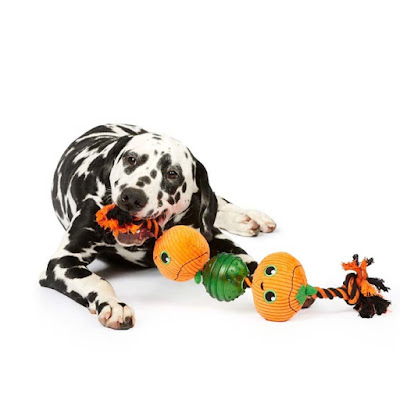 13 Spooky Halloween Gifts for Dogs | Australian Dog Lover