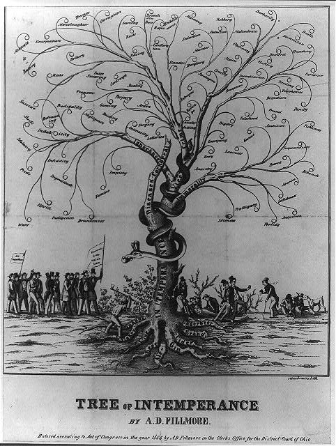 History 120: Module #1 - The Temperance Movement