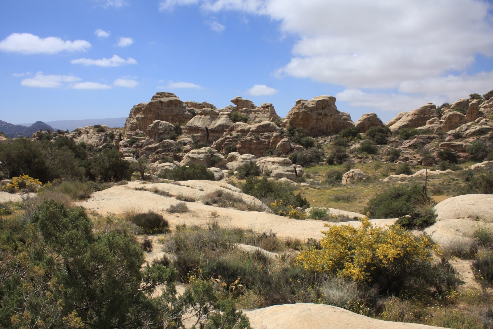 Quotidian Life: Wadi Dana~Rim Hike
