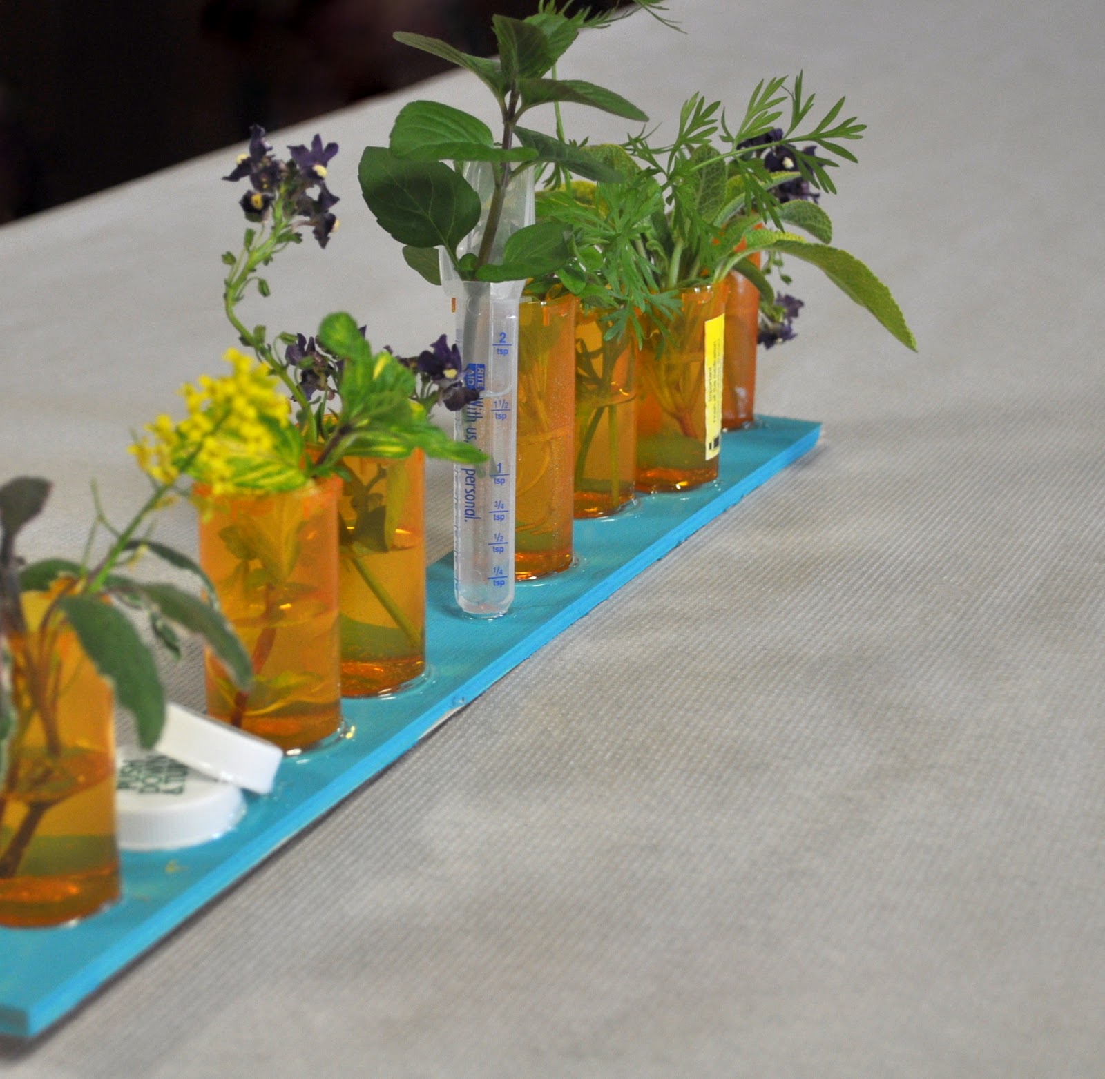 Weaver Girl Guz: 136/366: Pharmacy Party Part 3