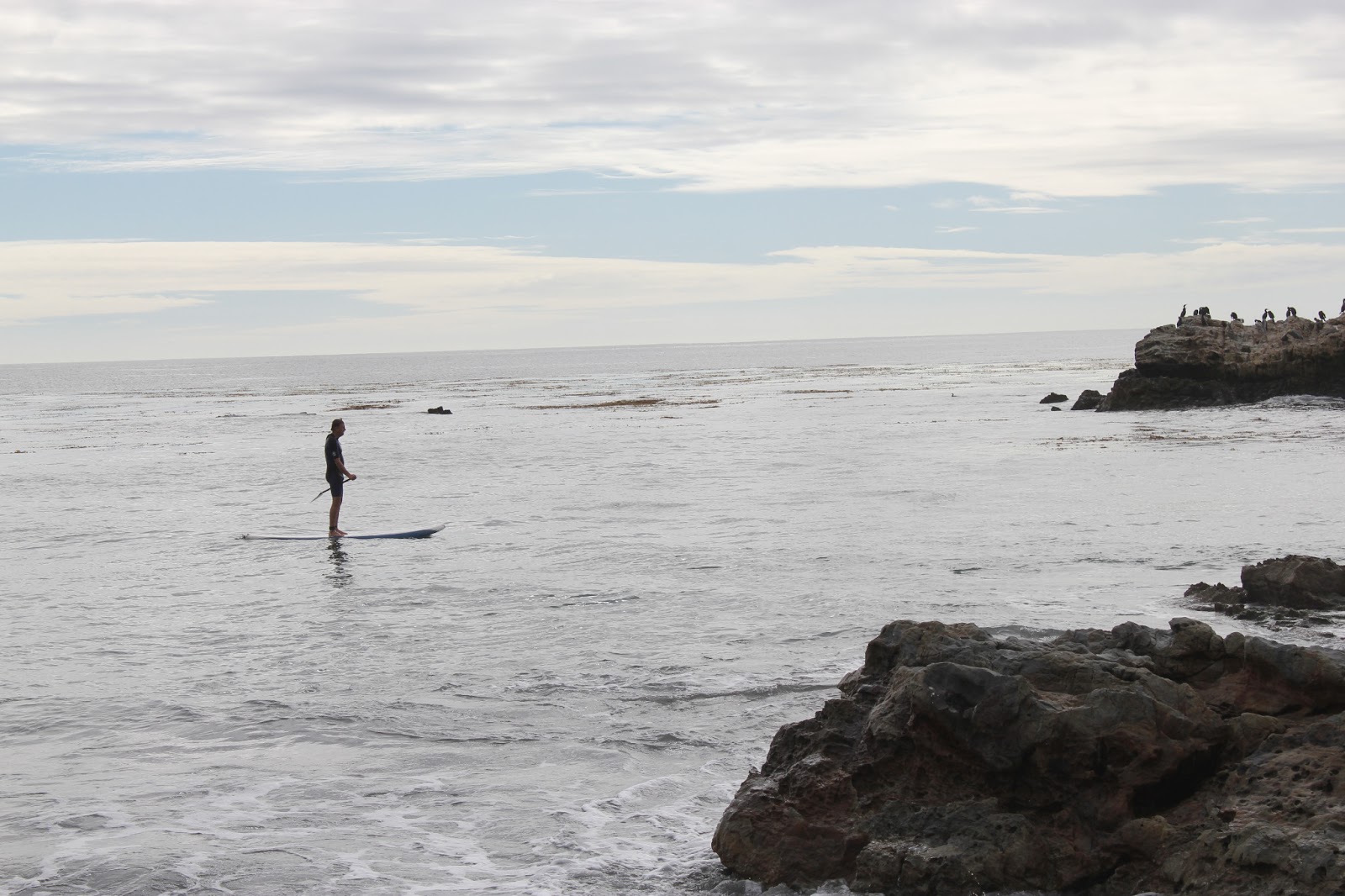 Nick Greger's Beach Project