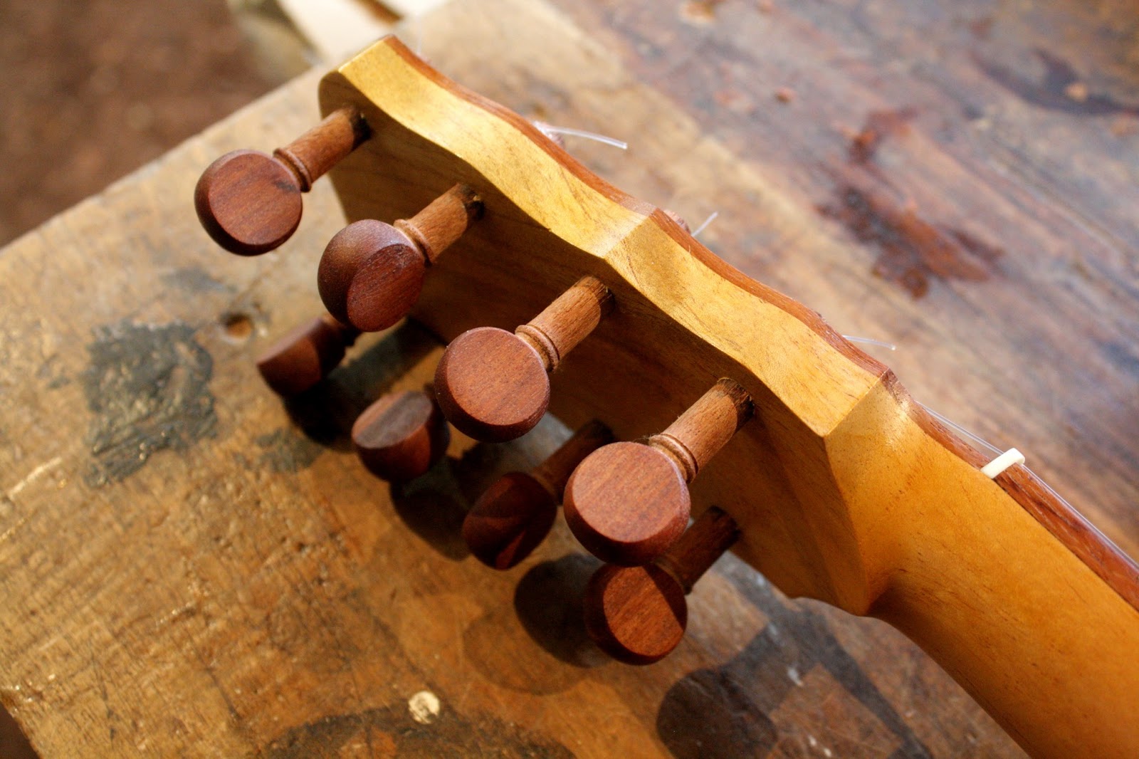 Jaranas Jarochas, Requintos y Leonas.: Jaranas #226 & #227