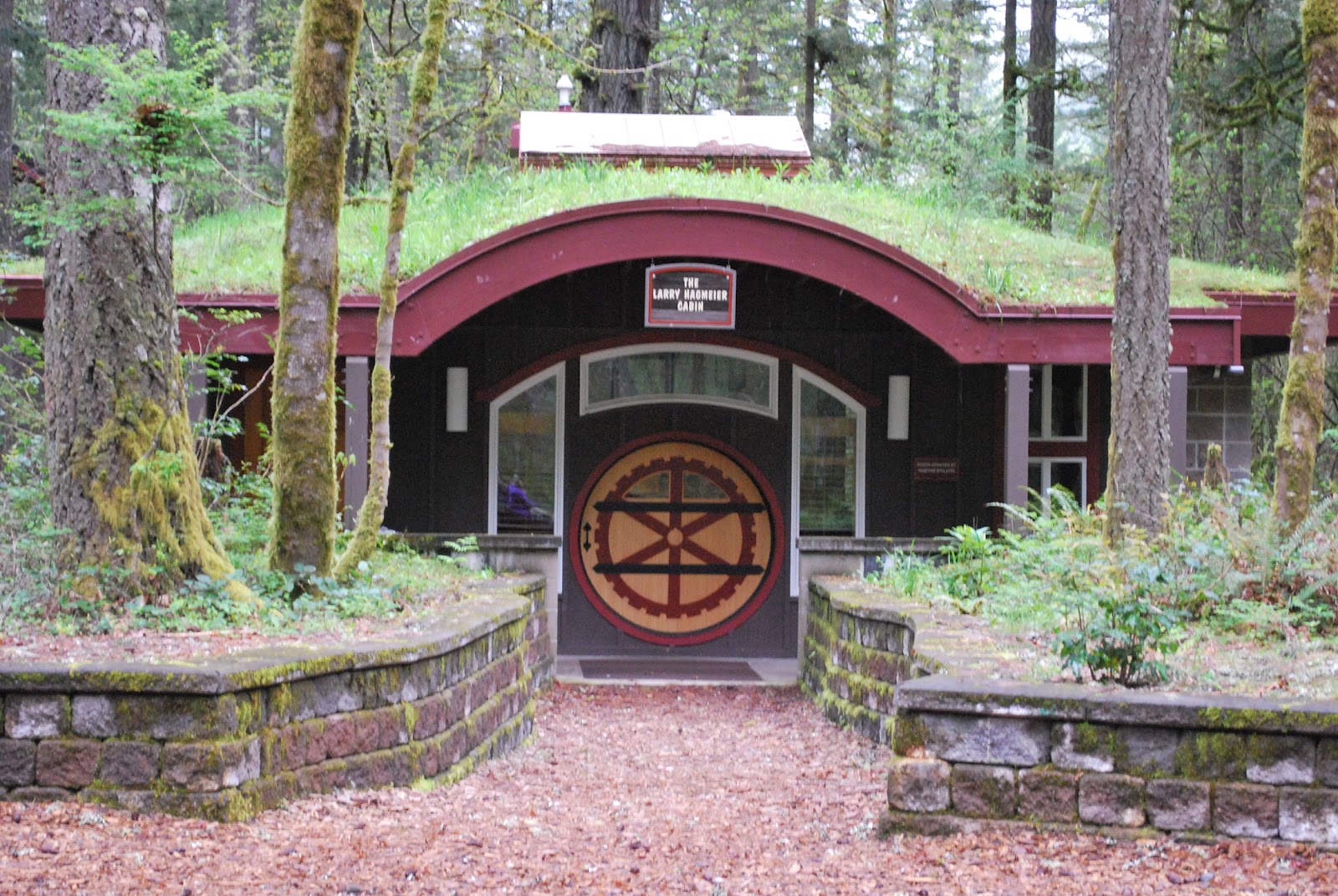 ~Ways I See the World~: Into the Woods