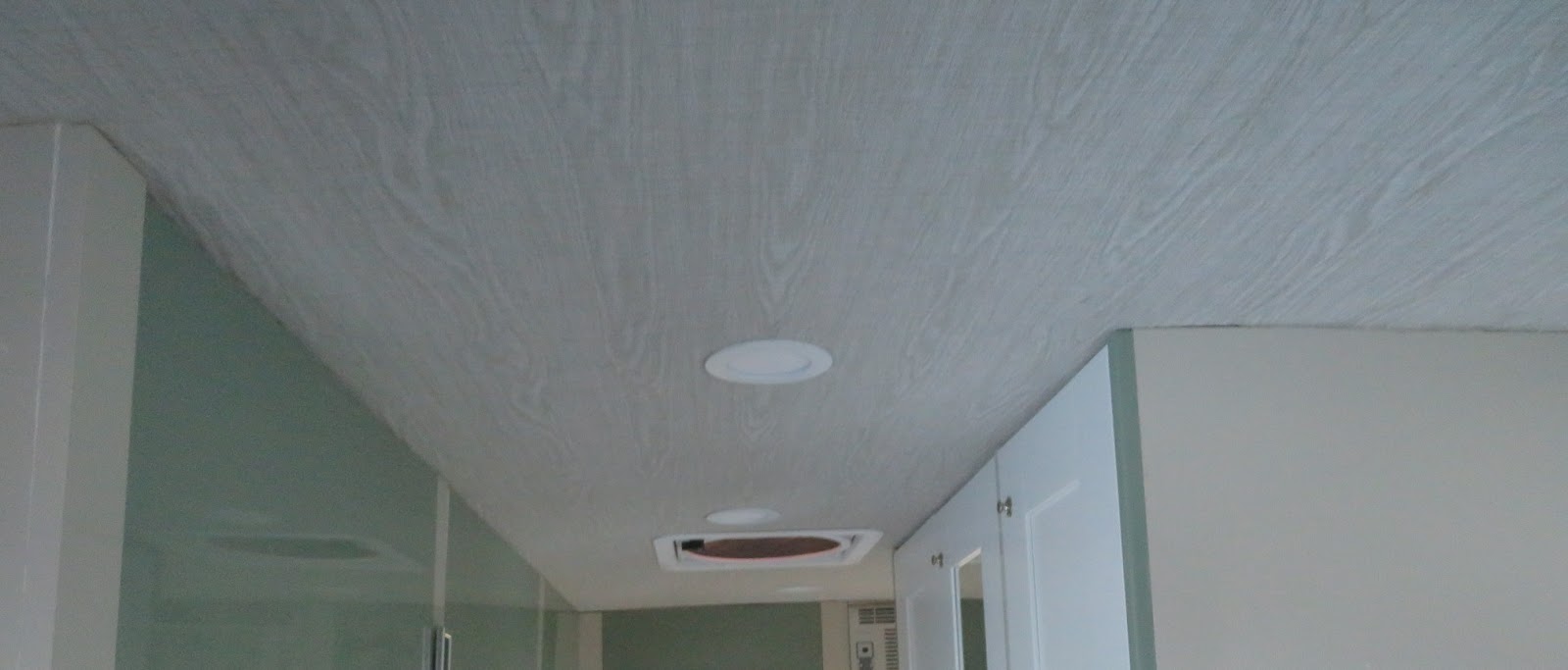 Ultimate Promaster Conversion: Finishing: Ceiling and Floor