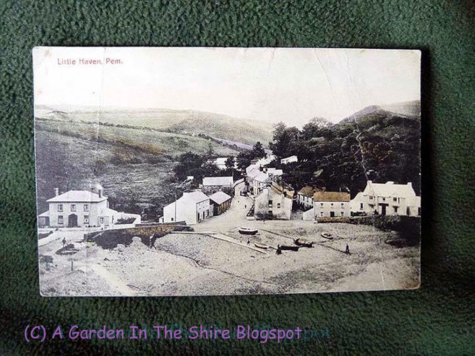 Country Ways and Cottage Days: A Solar Eclipse, Vintage Postcards, and ...