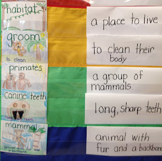 My First Grade Backpack: Monkey Reports