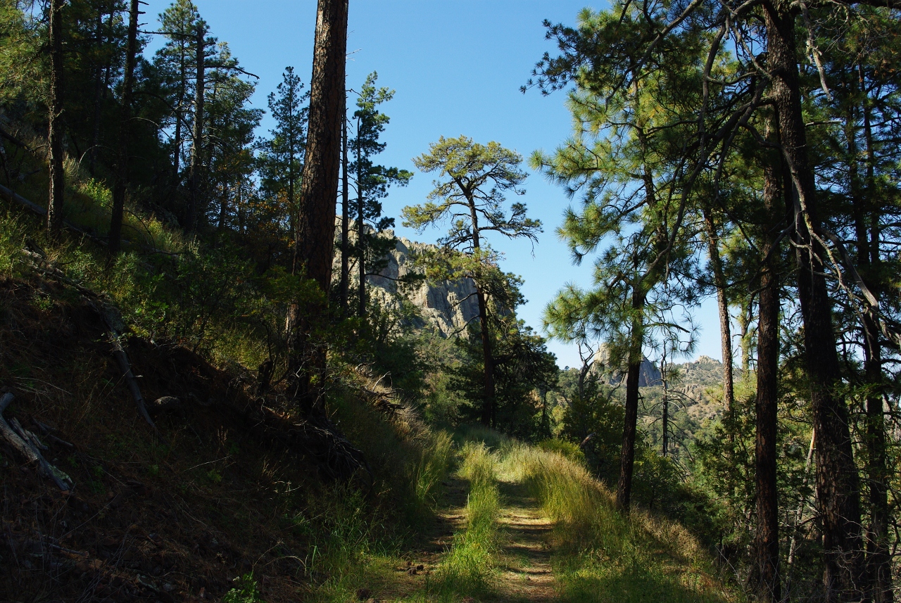 Here and There//Texas/New Mexico: Mt Livermore, Davis Mountains: Texas' #2