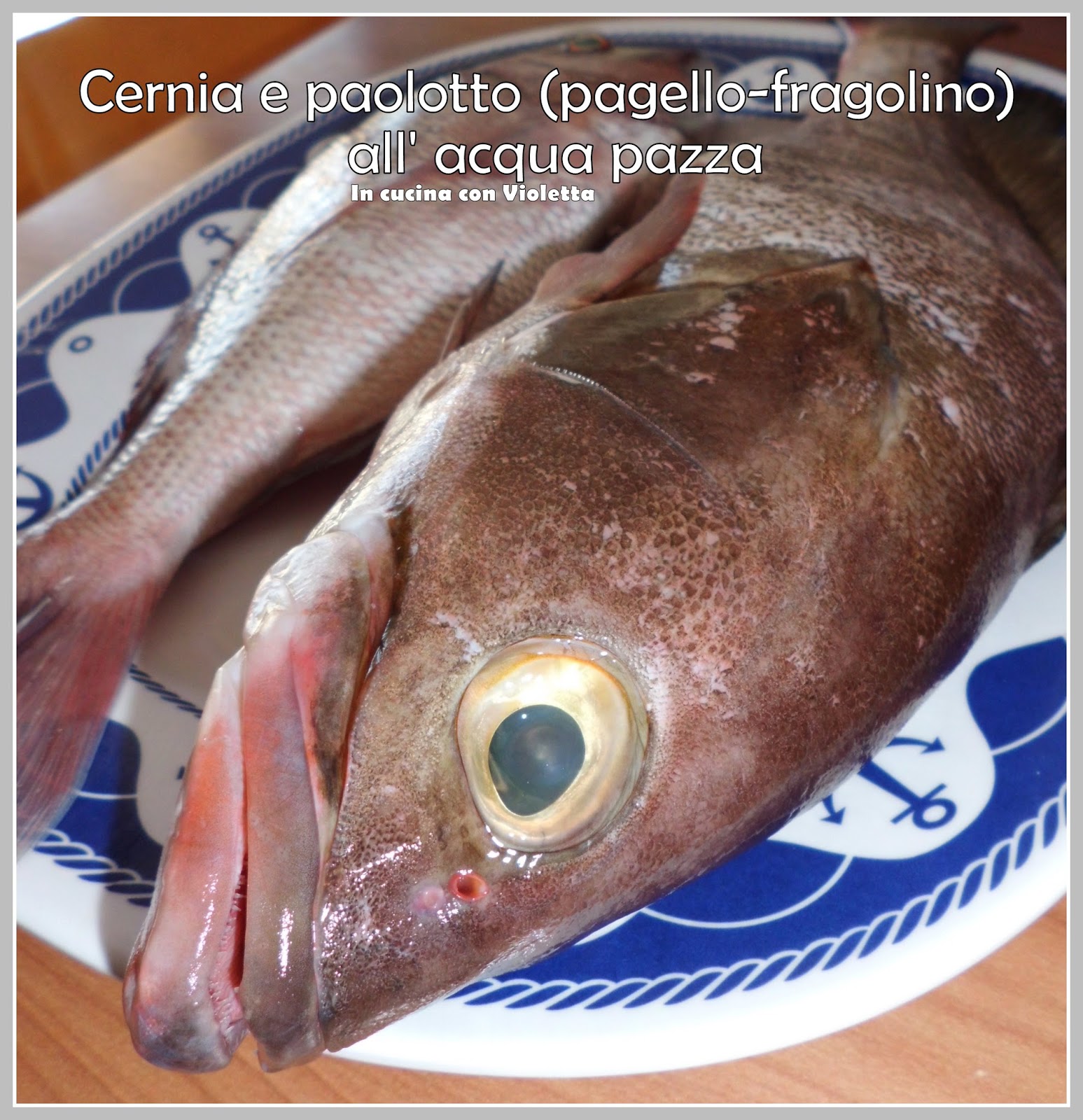 In Cucina Con Violetta: Cernia e paolotto (pagello-fragolino) all ...