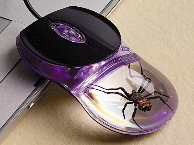 Descubra agora a origem do Mouse - Blog de brasileiro