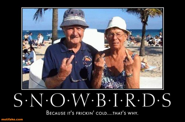 My table in the Uwe's bar, about Serbia etc... | Page 5 | Ross-Tech Forums