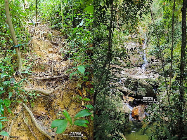 Trans Gunung Tahan 跨越大汉山ᄿ 第 天轻松徒步六小时 (Sungai Relau - Kuala Juram - Kem ...