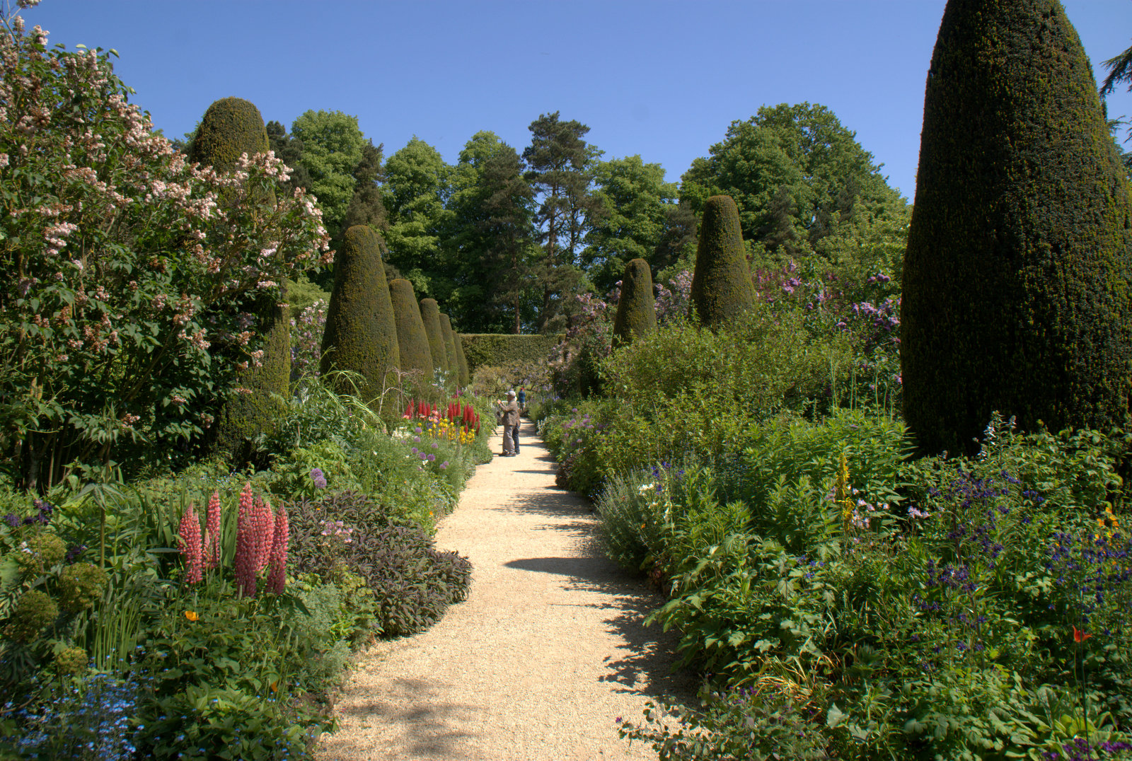 Organic Garden Dreams: Hidcote Manor Garden II