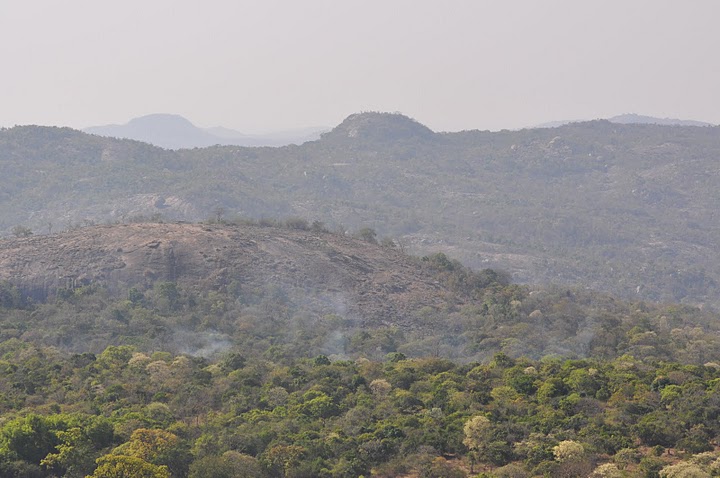 High On Wilderness: The sweet smelling forests of Thally