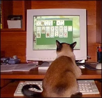 Cats Rule: Computer Trouble? Our IT Department Can Help Its Purrformance!