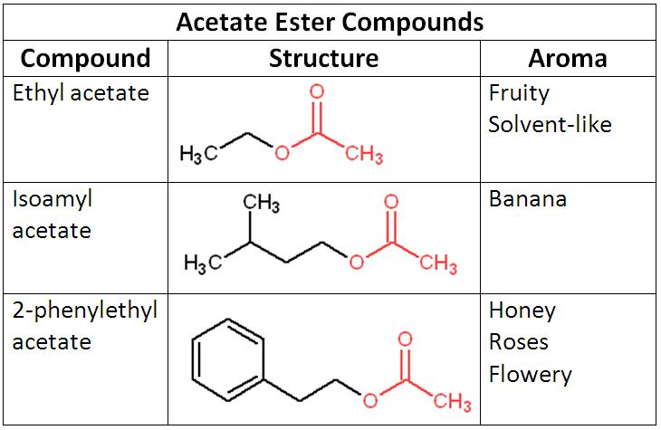EnoViti: 03/01/2013 - 04/01/2013
