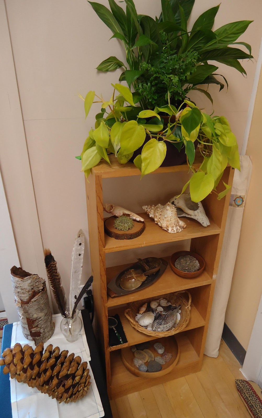 To the Lesson!: Nature Shelf Corner