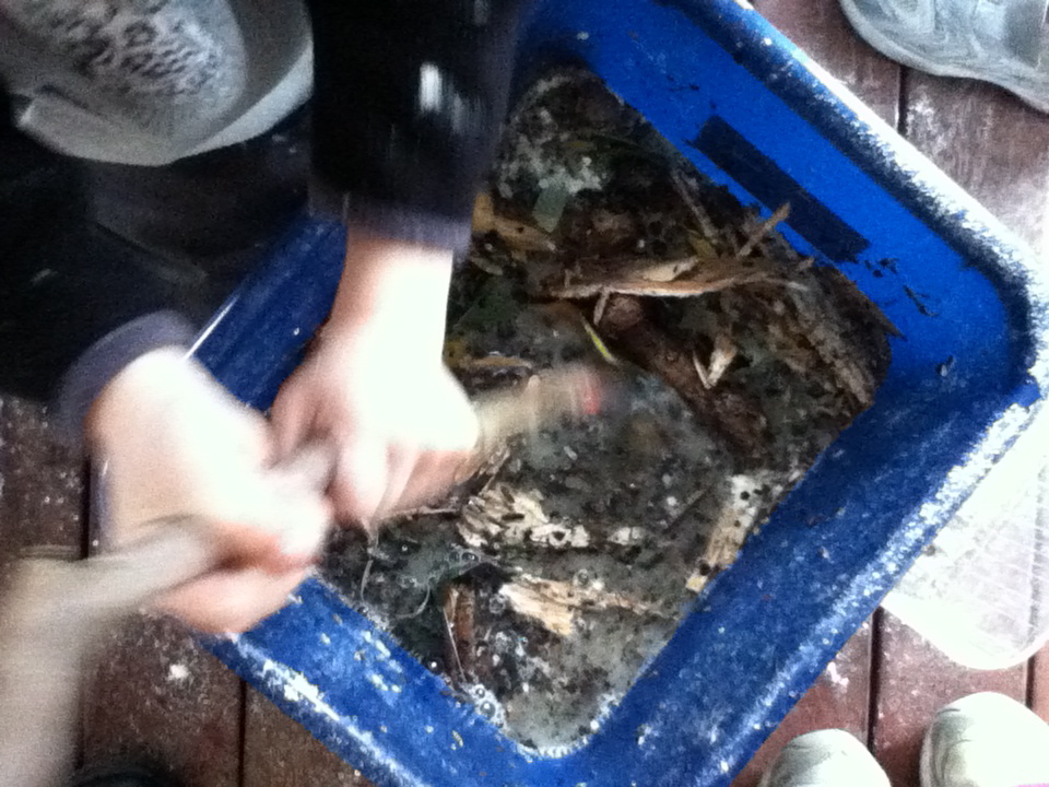 Prepare to Play!: Gooey, Brewy Wombat Stew