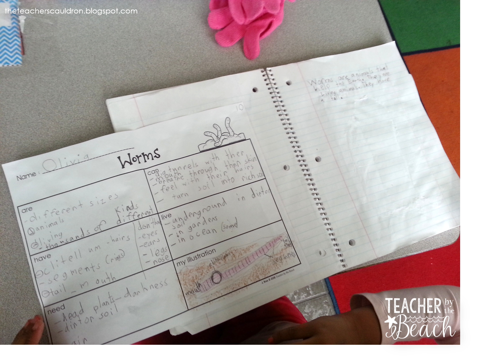 Fun with WORMS! - Teacher by the Beach