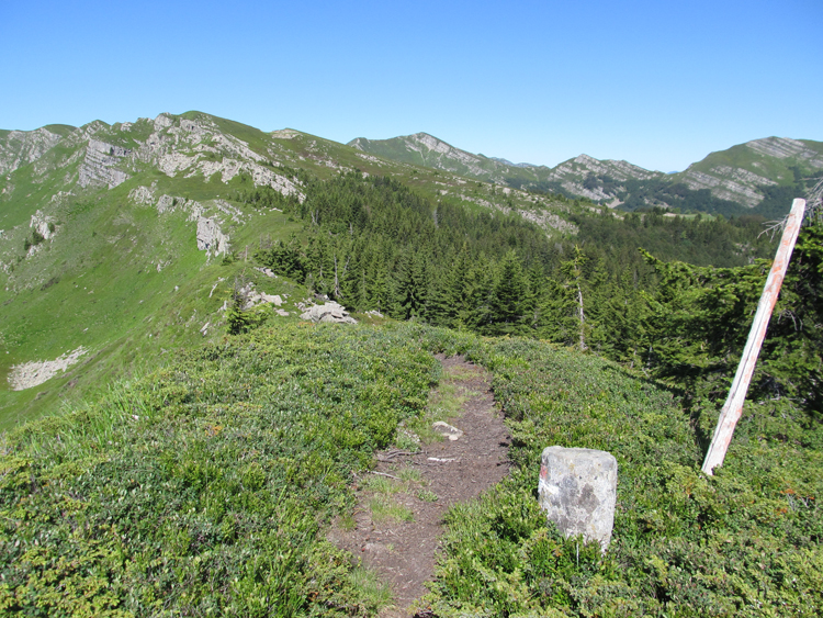 Escursionismo a 360°: Alpe Tre Potenze e Gomito (per il Lago del Greppo) EE