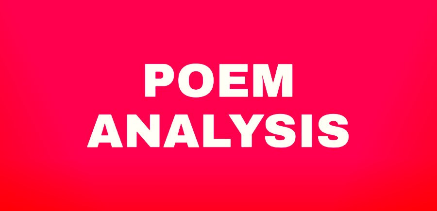 Analysis of The Quiet World by Jeffrey McDaniel - All Poem Analysis