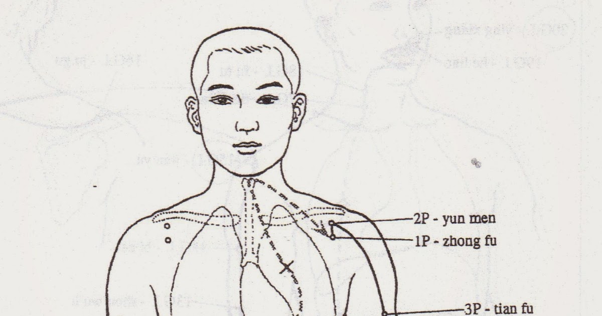 Blog Le Souffle du Menhir: Le méridien du Poumon (SHOU TAIYIN FEIJING)