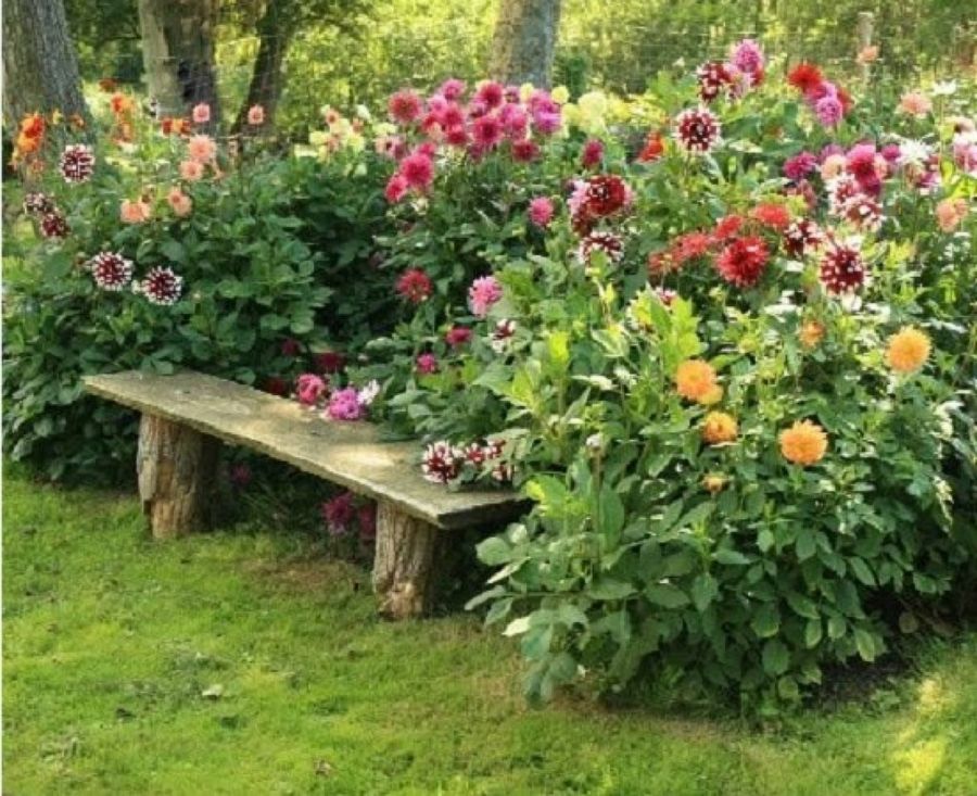 Two Men and a Little Farm: FLOWERS AROUND BENCH, INSPIRATION THURSDAY
