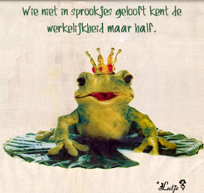 Verbeelding en historie: Wie gelooft er niet in sprookjes?