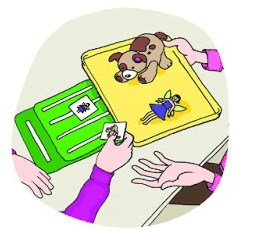 Blue Little Bird: Método PECS